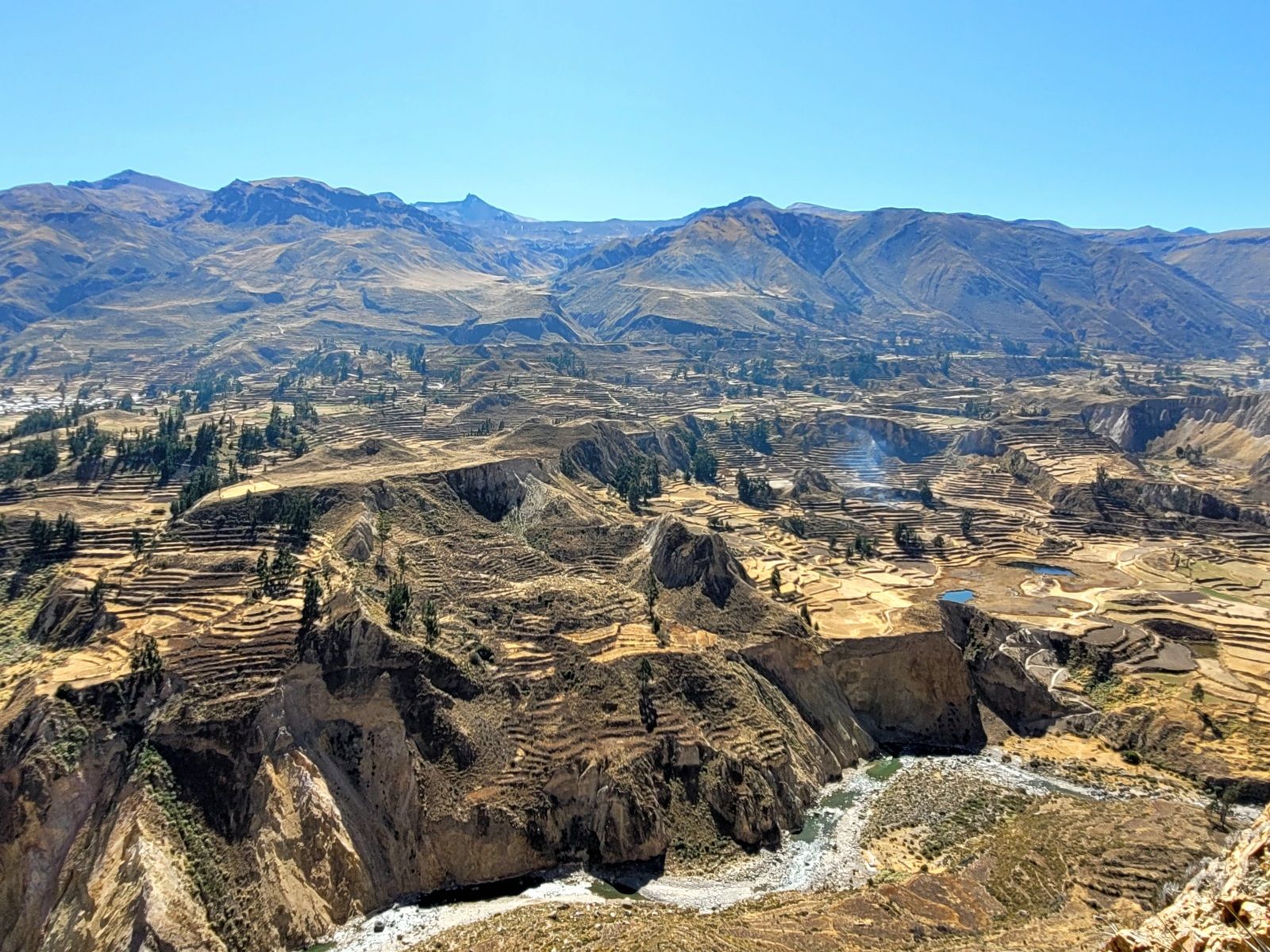 Perú J8 - Canyon, Cola, Condor, Cactus - Par ici chez Anne-Vie