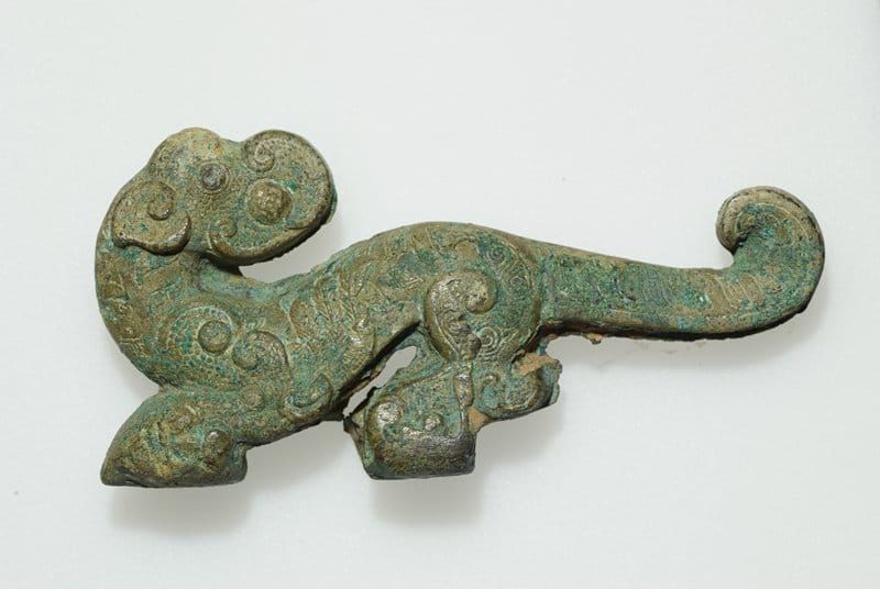 tiger - Alain.R.Truong