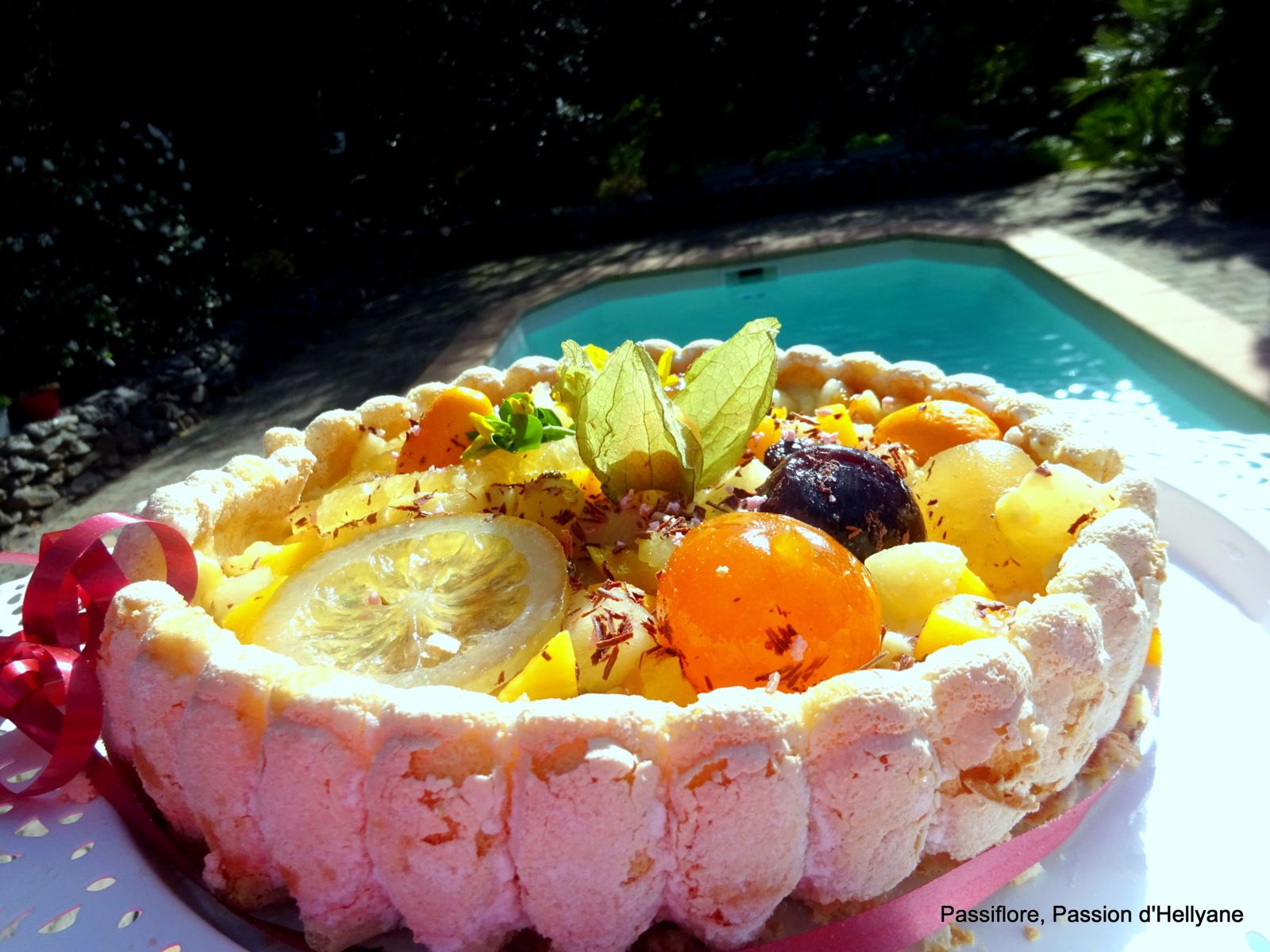 Charlotte aux 4 fruits et fruits confits - Passiflore, Passion d'Héllyane