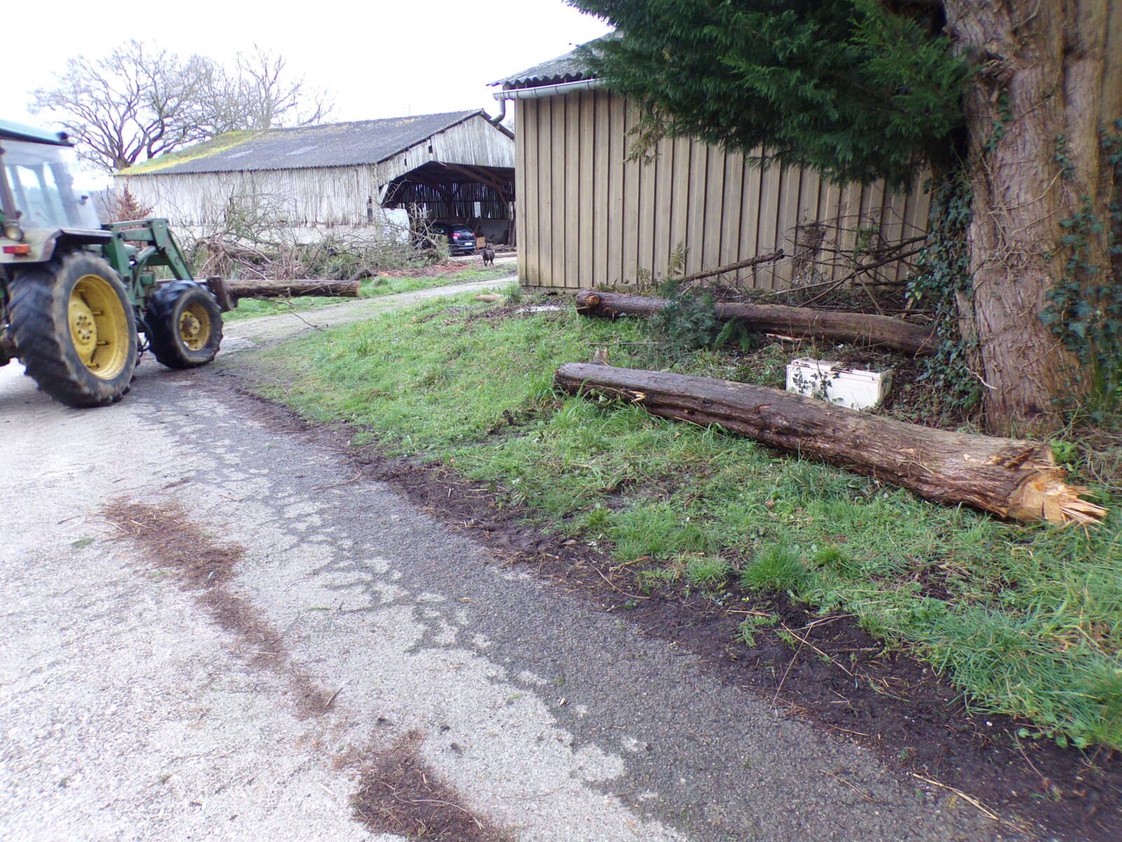 Abattage - TREVENALEUC, un manoir breton